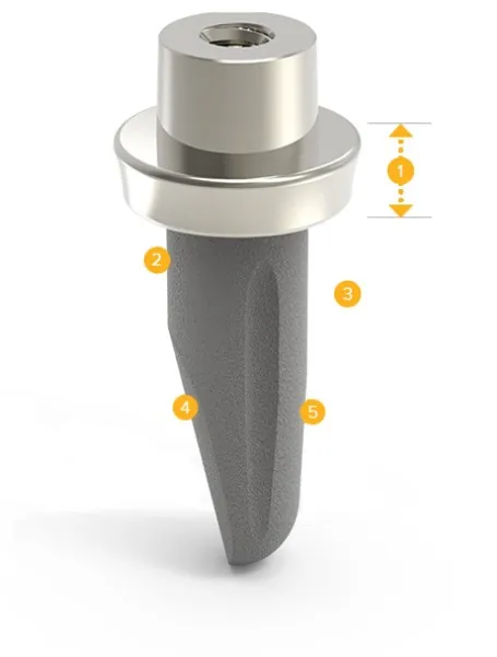 Anatomic Radial Head Solutions – Radial Head Replacement System – Care ...